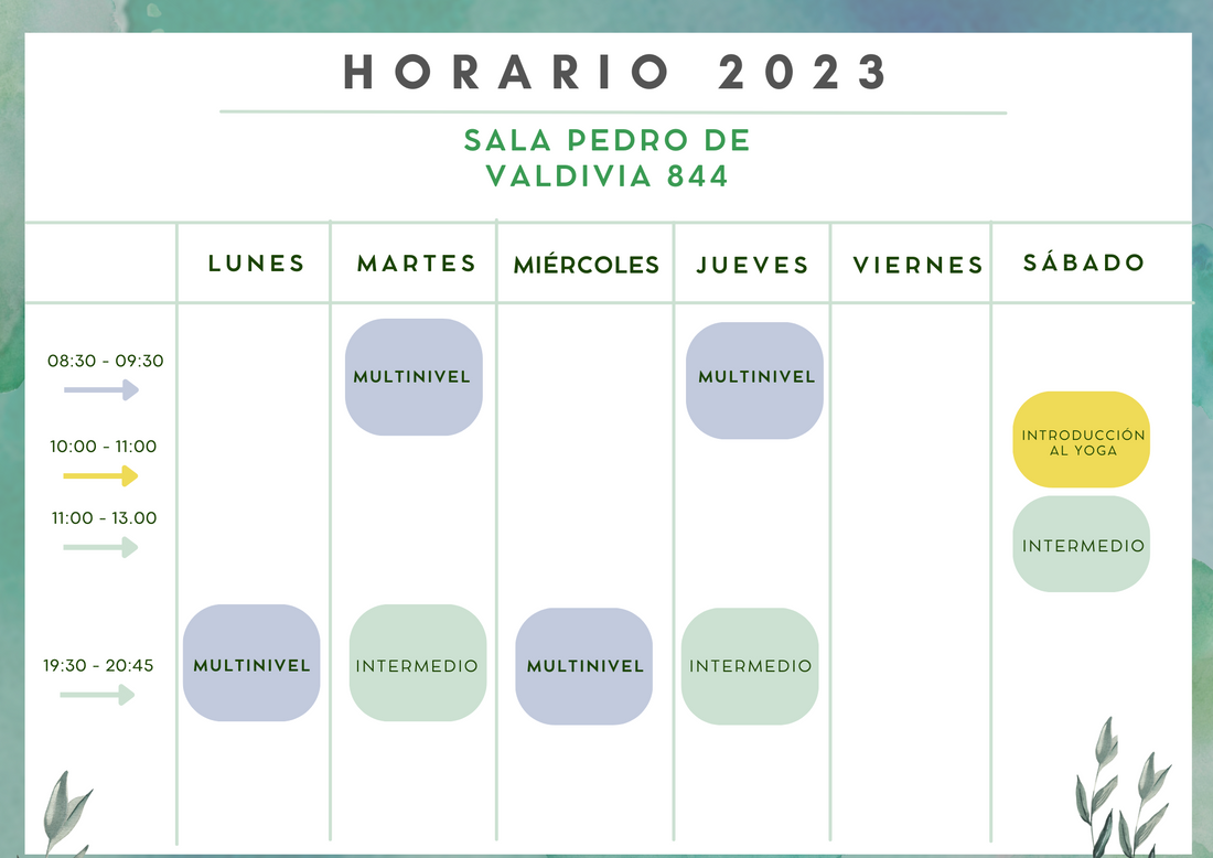 Minali Yoga Providencia